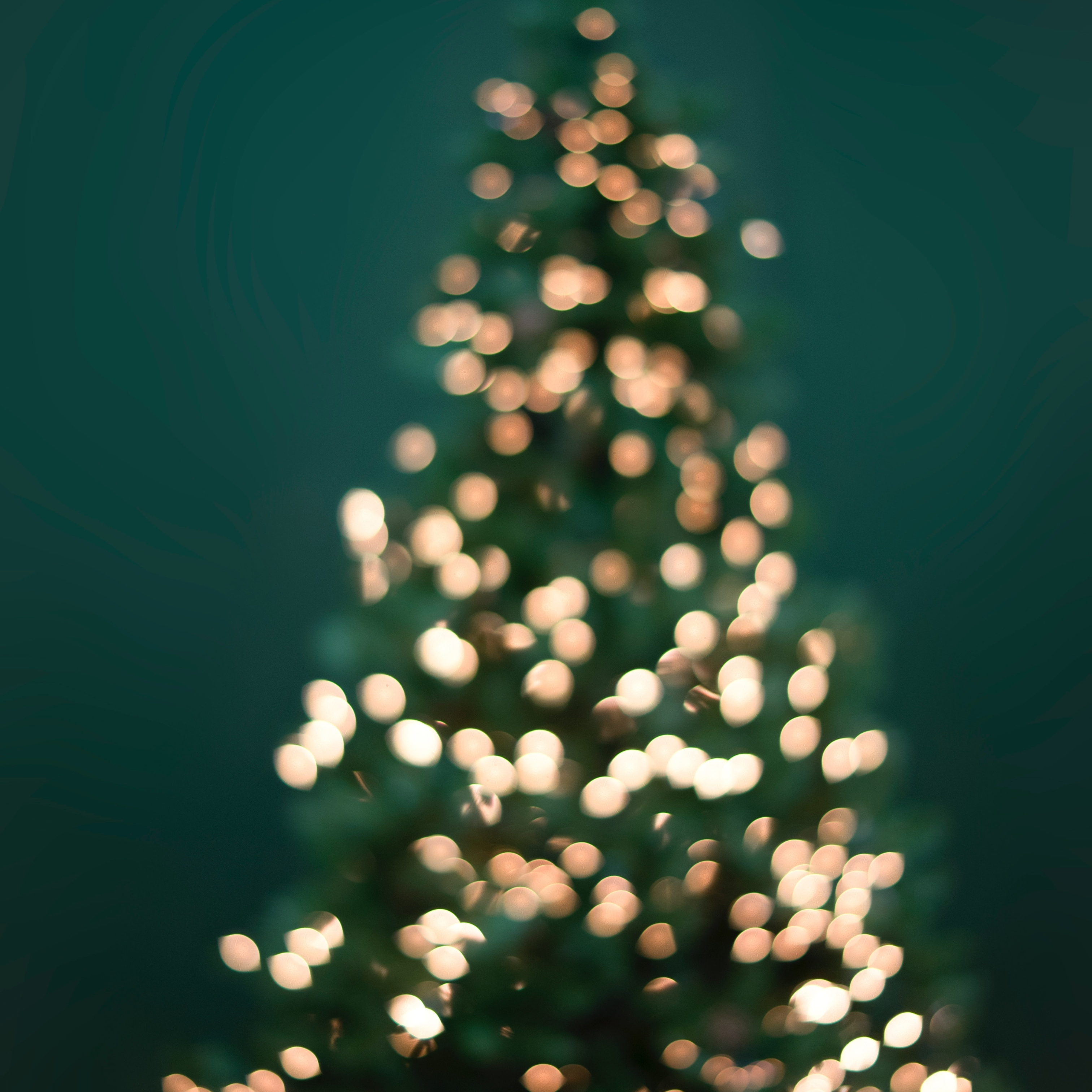 Fairy Lights#N# – TrendyTrees