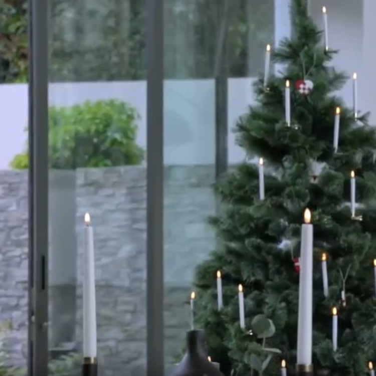 Collections – TrendyTrees