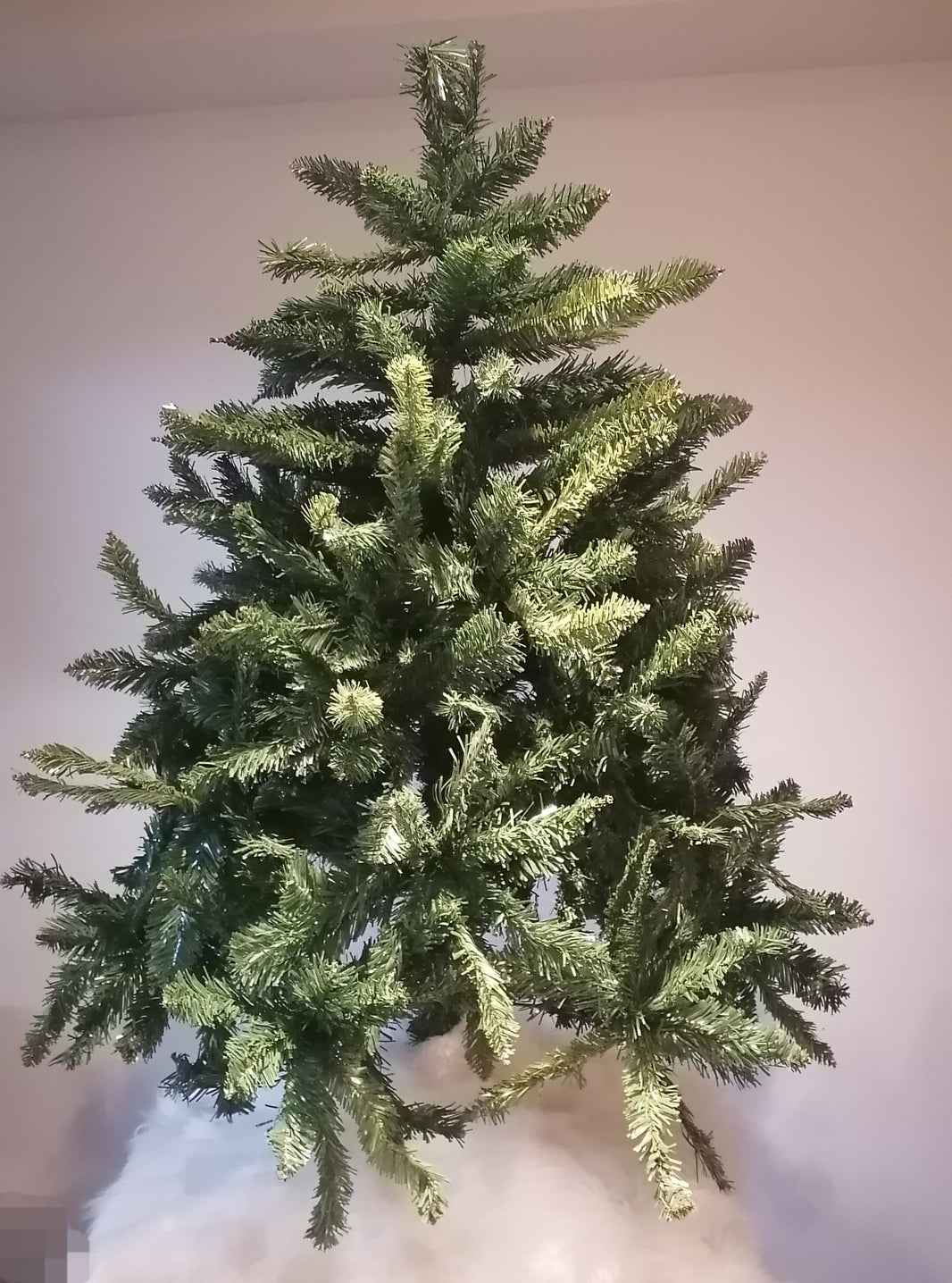 Trees – TrendyTrees