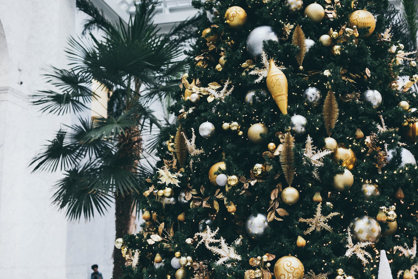 Trees – TrendyTrees