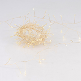 Fairy Lights – TrendyTrees